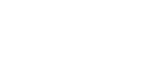 SVP GROUP